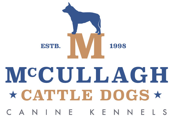 McCullagh Australian Cattle Dogs
